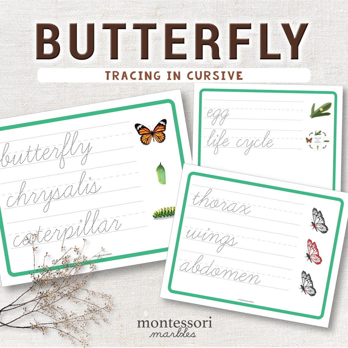 Butterfly Tracing Activities for Preschool and Kindergarten in | Etsy