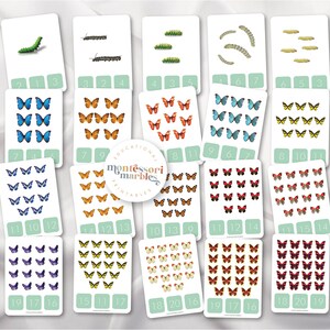 BUTTERFLY Counting 1 to 20 | Kindergarten Math | Learn to Count ...