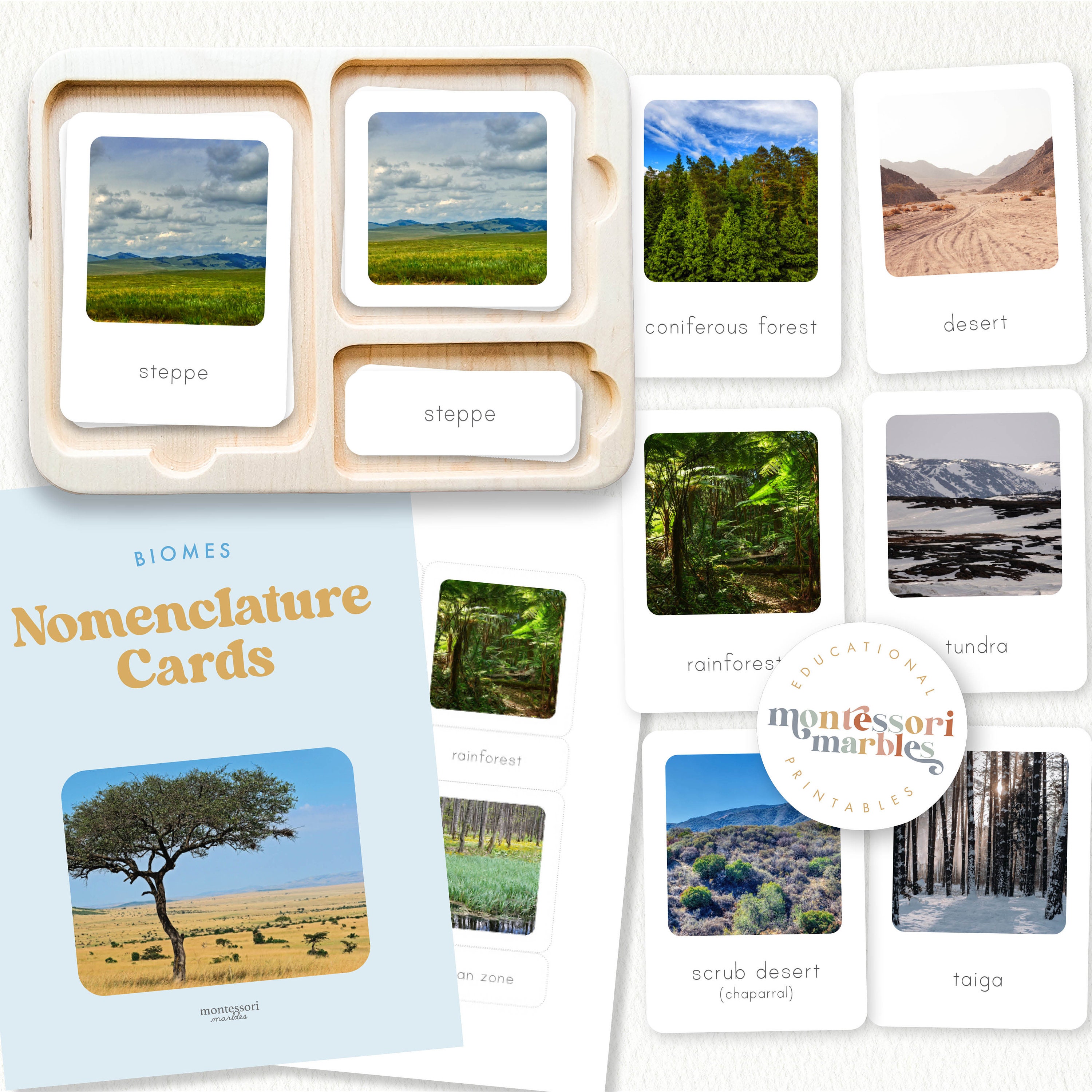Biomes 3-part Cards | Montessori Geography | Real Photo 3-part Cards ...
