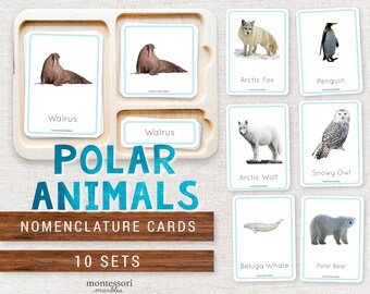 Arctic Animals 3 Part Cards - Etsy