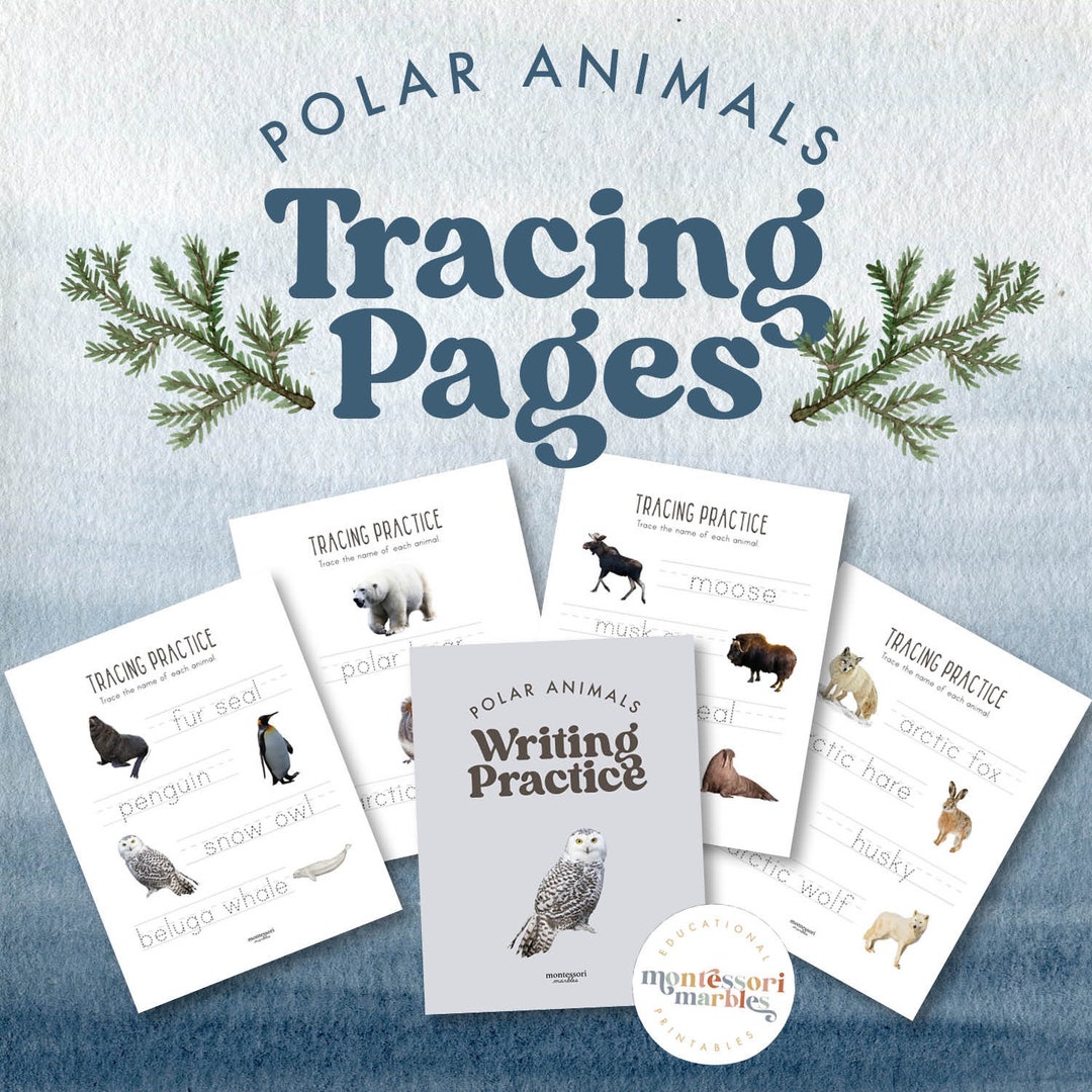 POLAR ANIMALS Tracing Activities | Handwriting Practice With Line ...