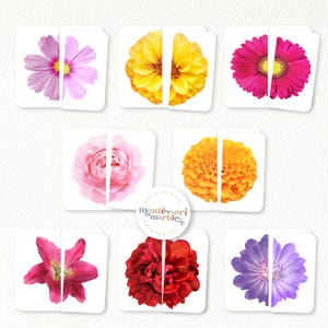 FLOWERS Symmetry Matching Puzzle | Montessori Inspired Visual Skill ...