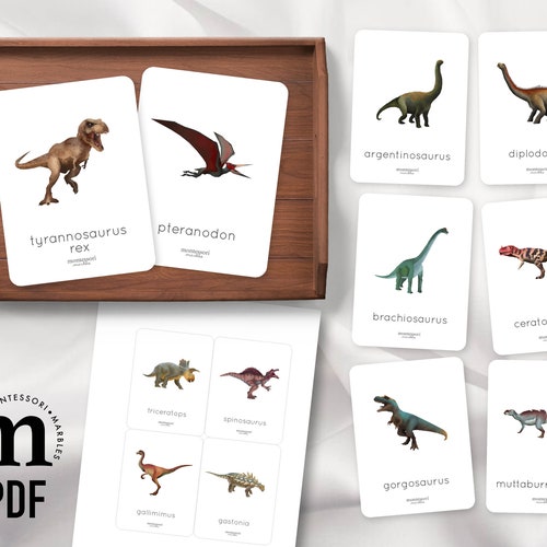 DINOSAURS Flash Cards 18 Flashcards Montessori Inspired - Etsy