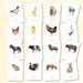 FARM ANIMALS Montessori Nomenclature Cards, Montessori Homeschool Prek ...