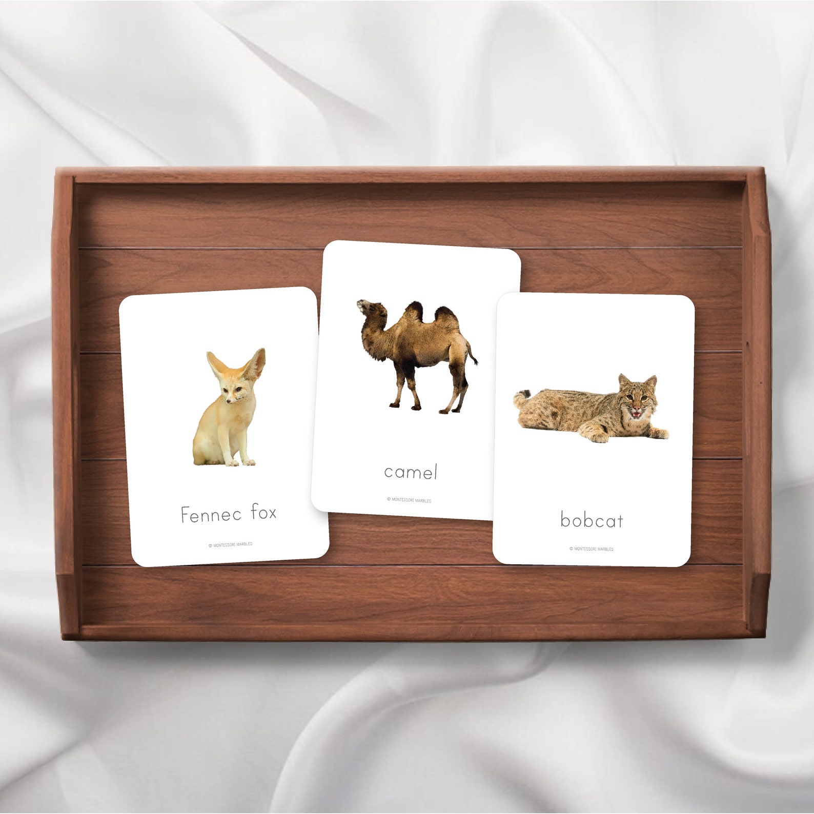 DESERT ANIMALS Flash Cards Vocabulary Builder Montessori Inspired ...