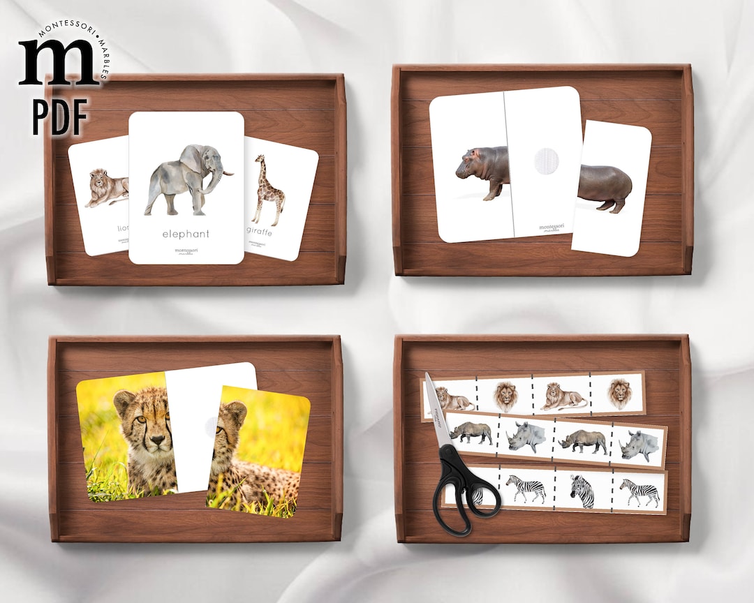 SAFARI ANIMALS Mini Bundle 4 Sensory and Fine Motor - Etsy