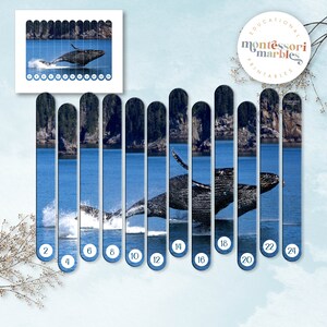 WHALES Skip Counting by 2s, 3s, 5s and 10s, Early Math, Math Puzzles ...