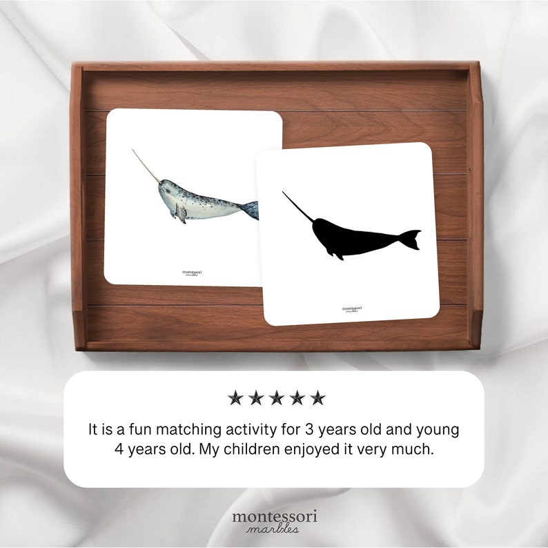 OCEAN ANIMALS Shadow Matching Montessori Inspired Silhouette Matching ...