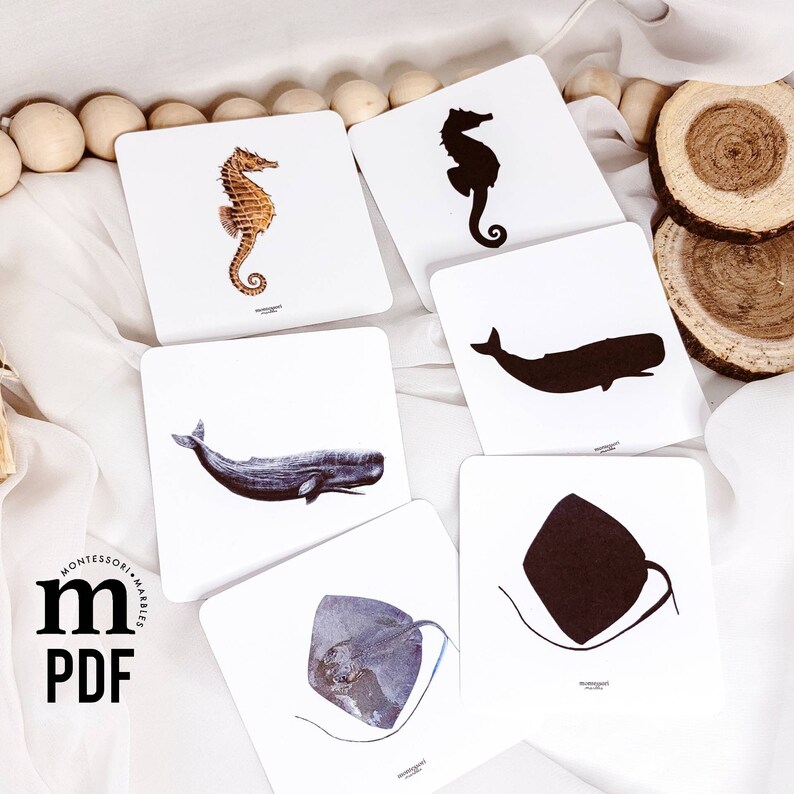 OCEAN ANIMALS Shadow Matching Montessori Inspired Silhouette - Etsy