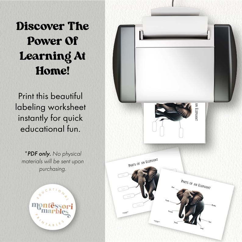 Elephant Anatomy Printable | Montessori Animal Study Worksheet ...