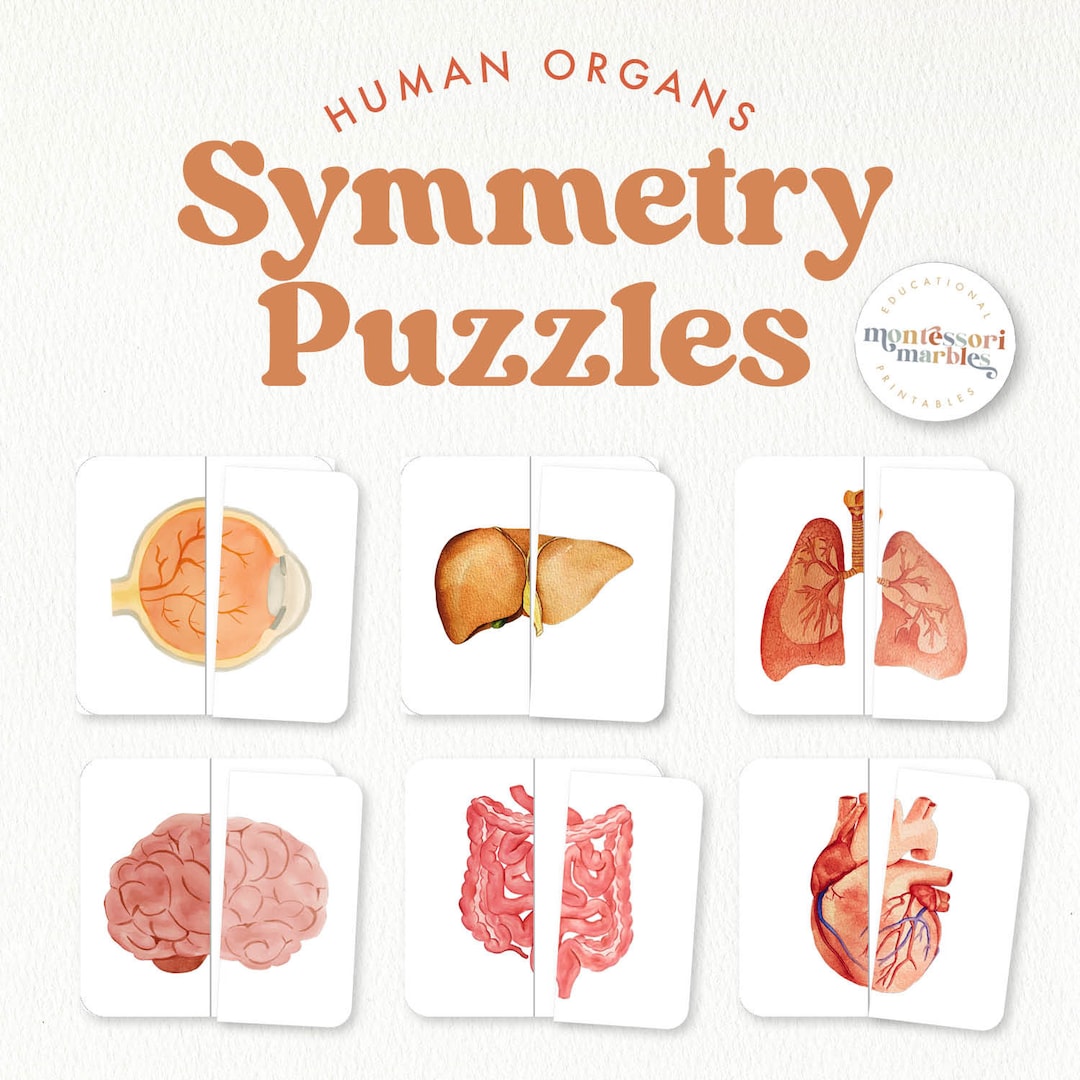 HUMAN ORGANS Symmetry Matching Puzzles | Montessori Inspired Visual ...