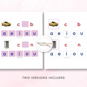 Montessori Pink Series Missing Vowel Short A, Printable Activity ...