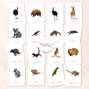AUSTRALIAN ANIMALS Flash Cards Montessori Inspired Learning Resources ...