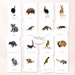 AUSTRALIAN ANIMALS Flash Cards Montessori Inspired Learning Resources ...