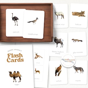 DESERT ANIMALS Flash Cards | Vocabulary Builder | Montessori Inspired ...