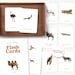 DESERT ANIMALS Flash Cards | Vocabulary Builder | Montessori Inspired ...