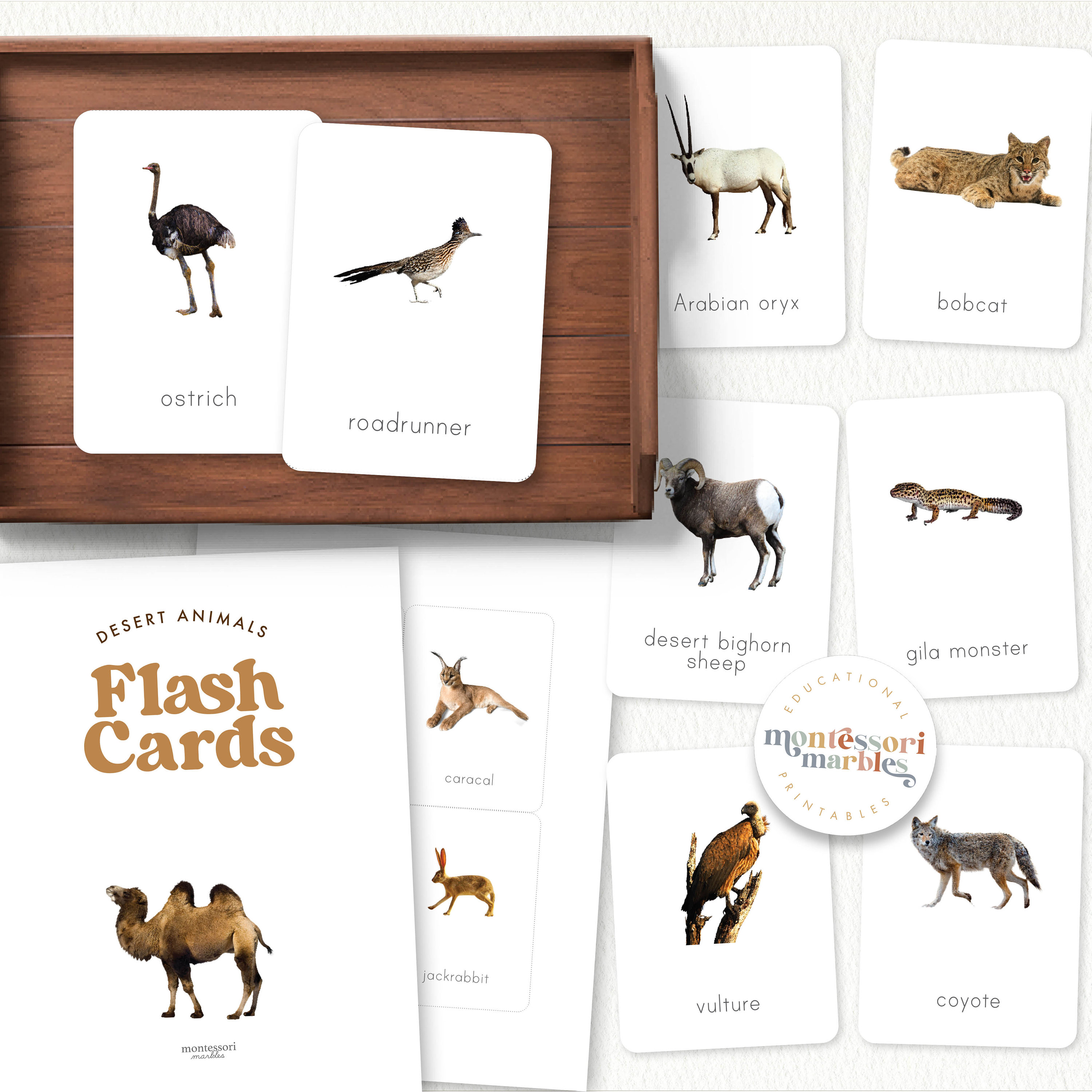 Desert Animals Flash Cards | Montessori Zoology Vocabulary | Real Photo ...