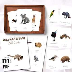 AUSTRALIAN ANIMALS Flash Cards Montessori Inspired Learning Resources ...
