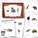 SPIDERS Types of Spiders Flash Cards Montessori Inspired Learning ...