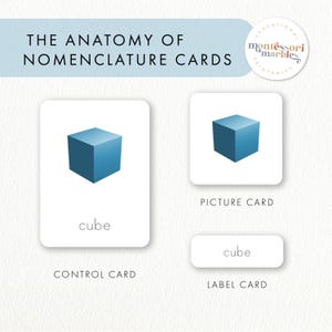 3D Shapes Montessori Nomenclature Cards: Geometric Solids (digital ...