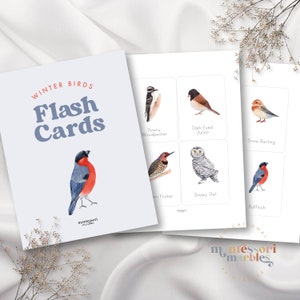 WINTER BIRDS Flash Cards | 16 Flashcards | Montessori Inspired ...