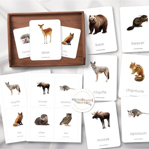WOODLAND ANIMALS Flash Cards Montessori Inspired Printable Resources ...