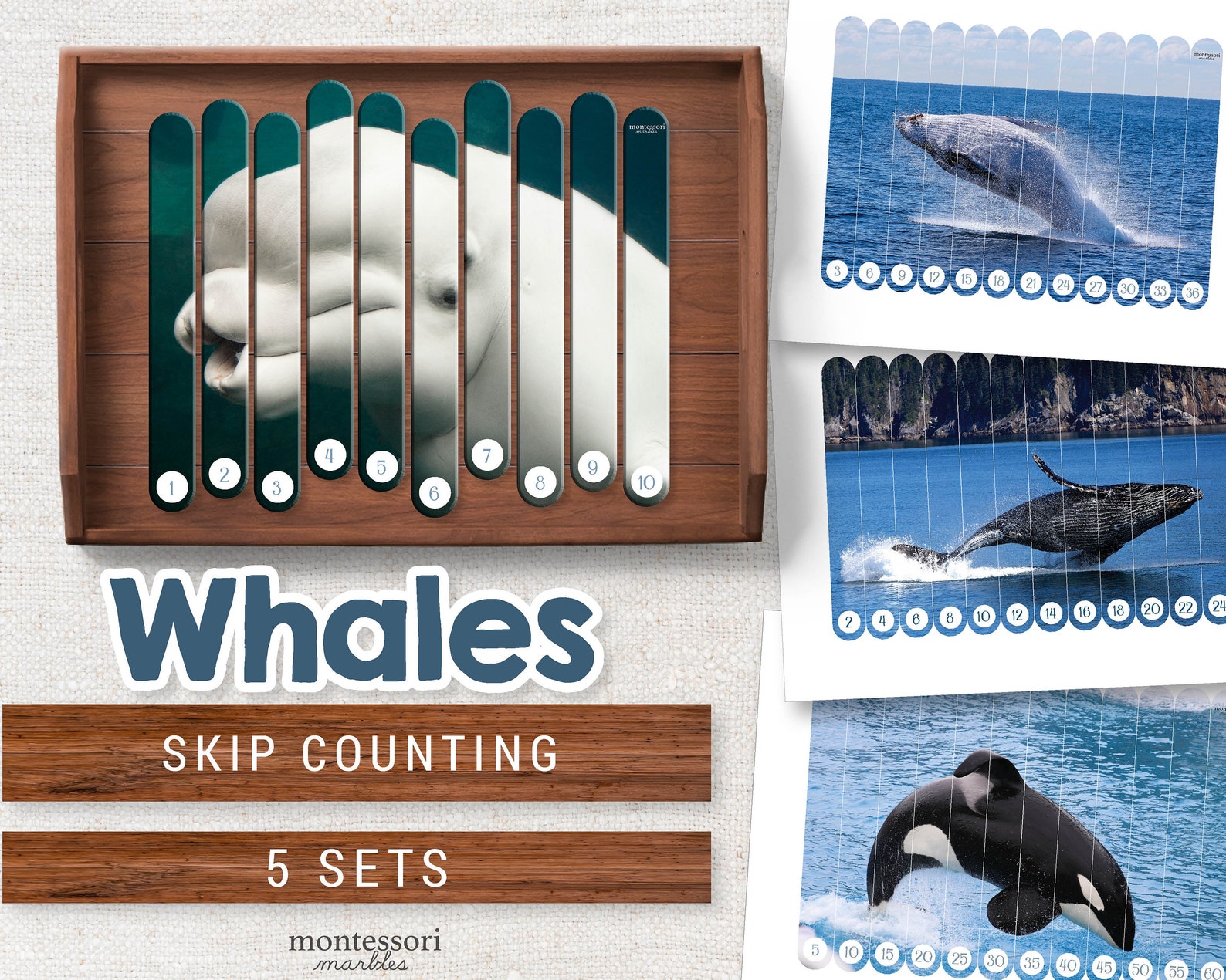 WHALES Skip Counting by 2s 3s 5s and 10s Early Math Math - Etsy