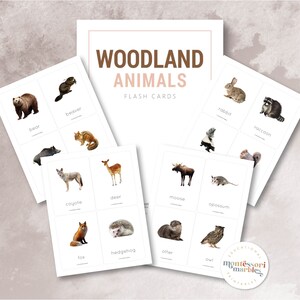 WOODLAND ANIMALS Flash Cards | Montessori Inspired Printable Resources ...