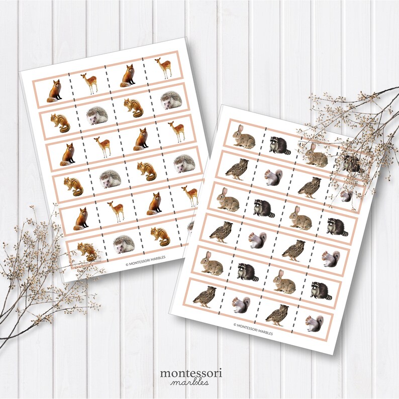 WOODLAND ANIMALS Cutting Strips Montessori Inspired Real | Etsy