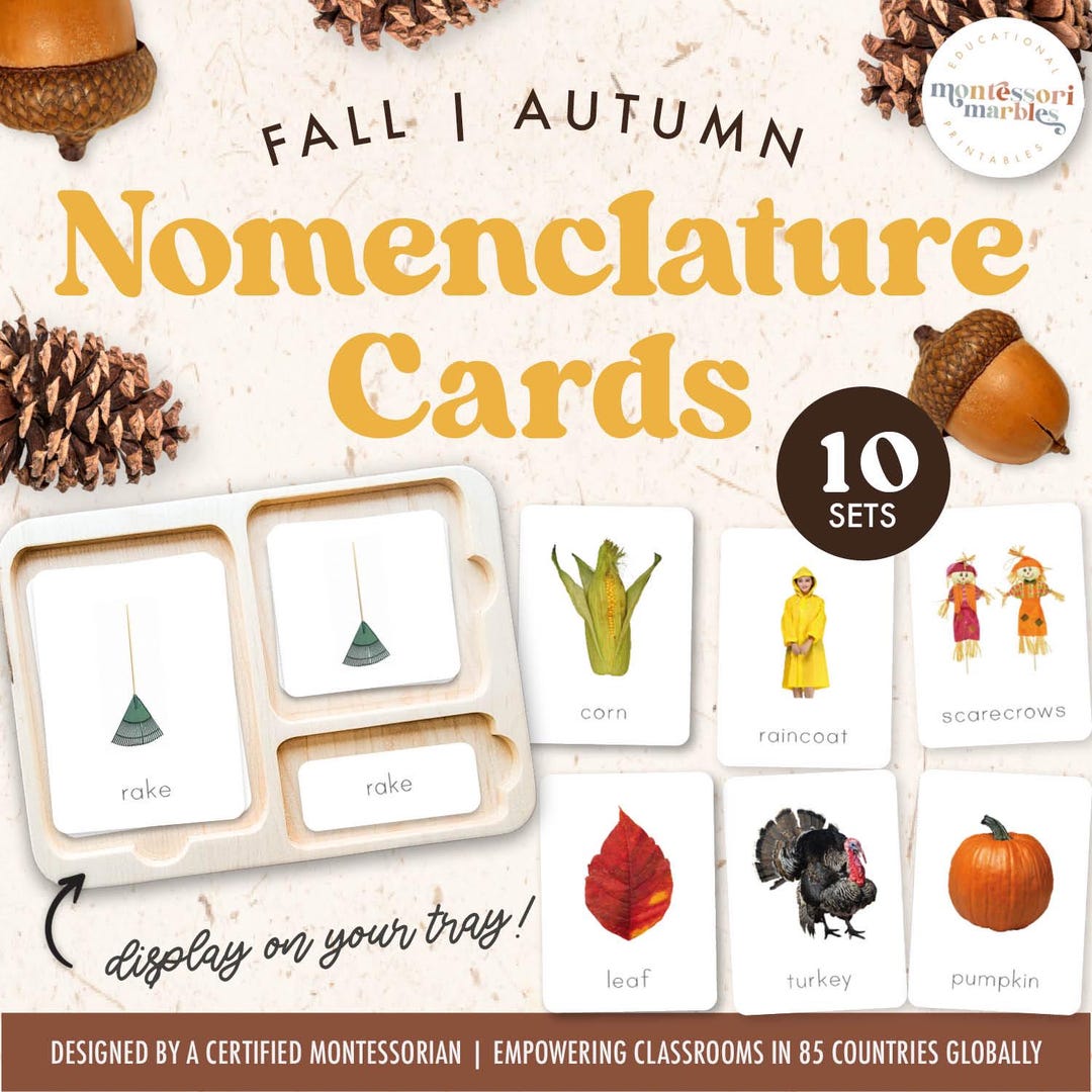 FALL Montessori Nomenclature Cards | Autumn Flash Cards | Four Seasons ...