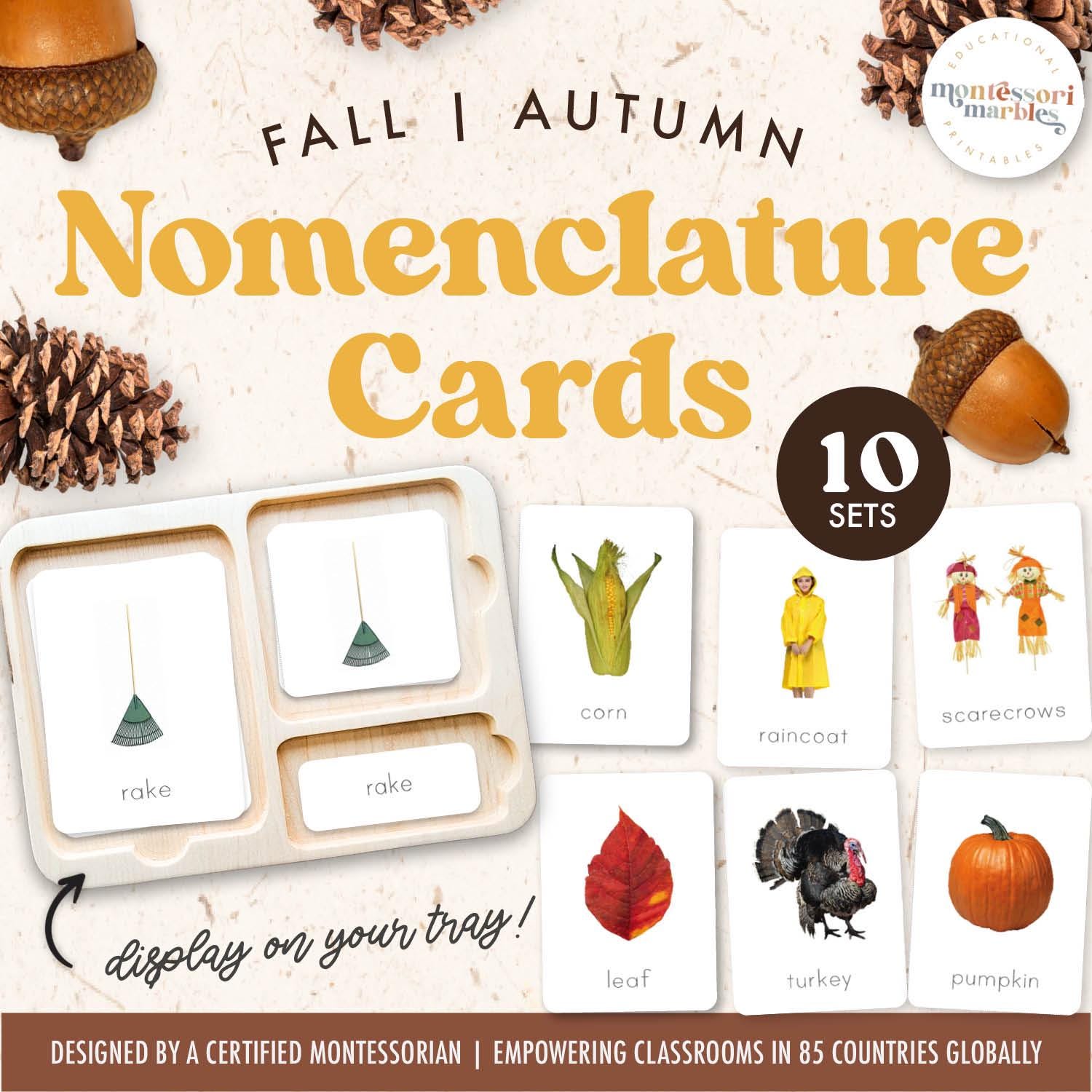 Fall Montessori Nomenclature Cards | Autumn Vocabulary Learning ...