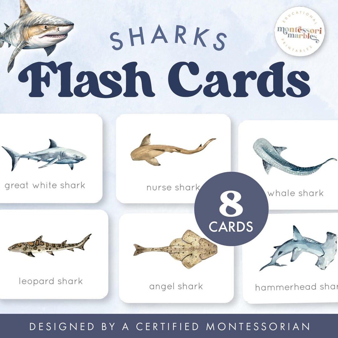 SHARKS Flash Cards | Types of Sharks | Watercolor Sharks Flash Cards ...