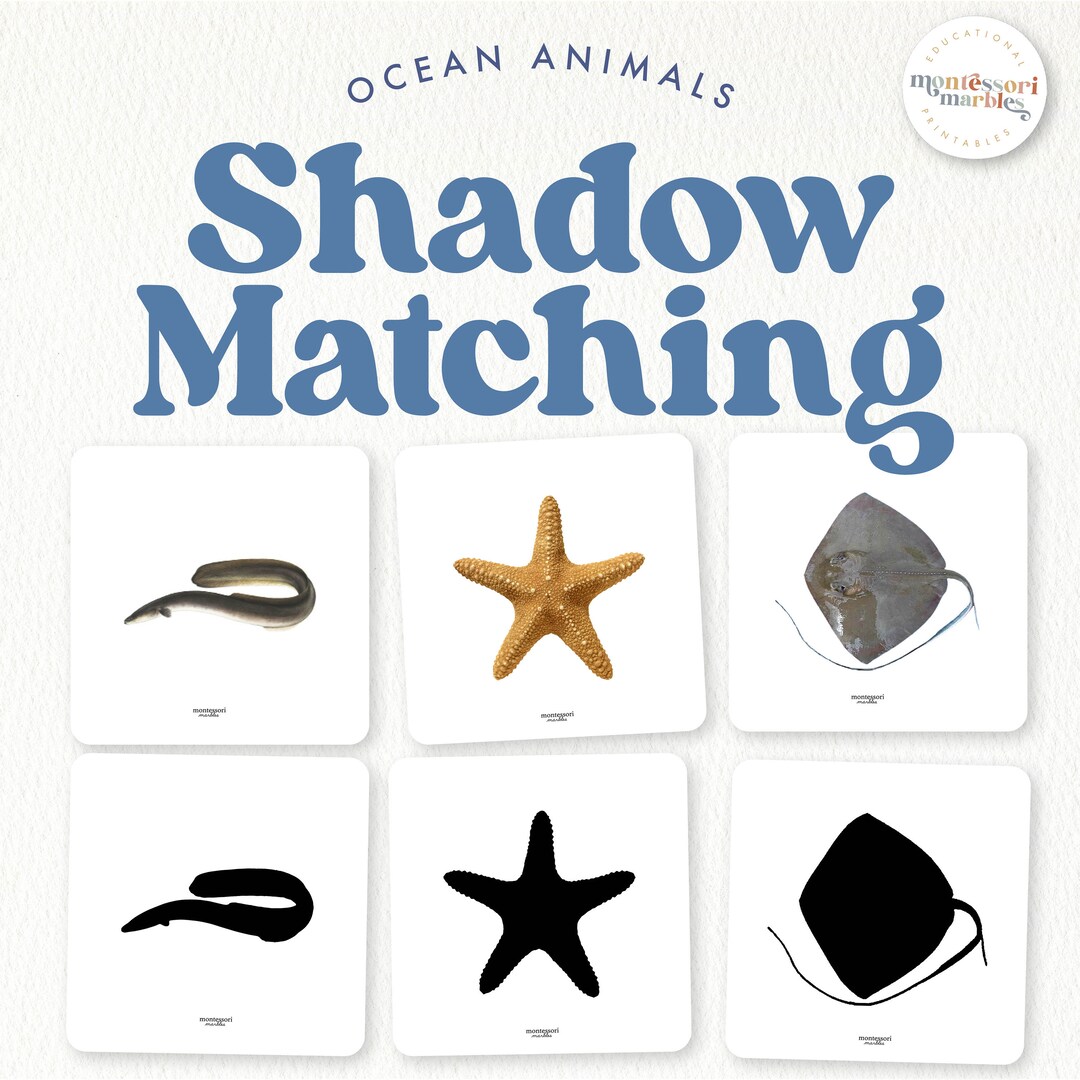 OCEAN ANIMALS Shadow Matching | Montessori Inspired Silhouette Matching ...