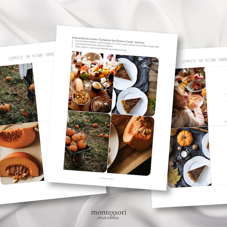 THANKSGIVING Complete the Pictures Montessori Inspired - Etsy