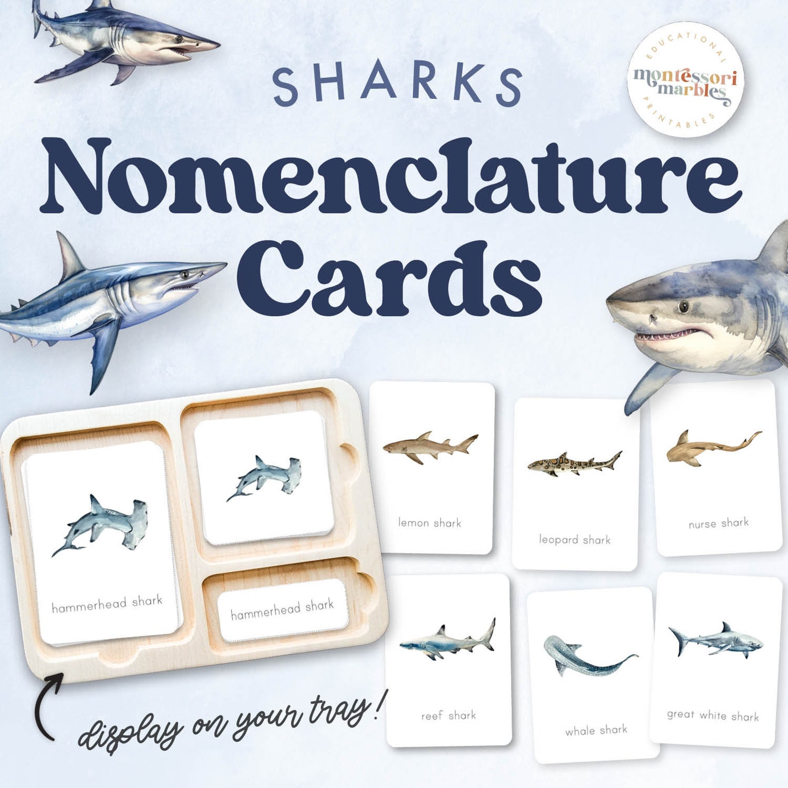 SHARKS Nomenclature Cards Types of Sharks Watercolor Sharks Flash Cards ...