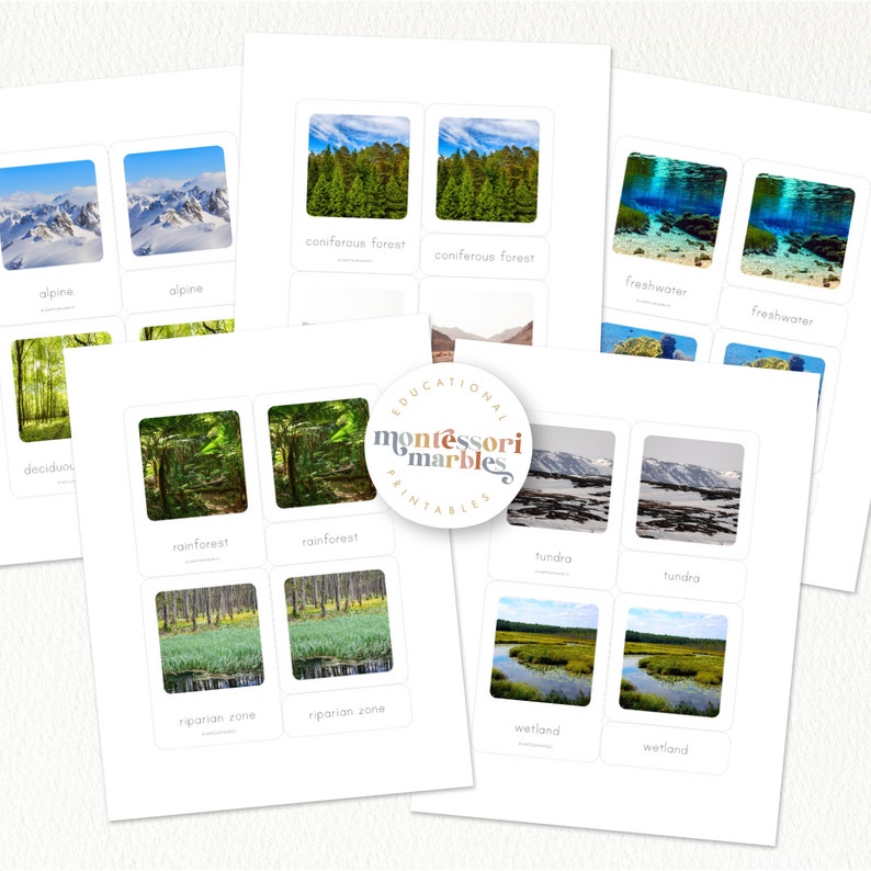 Biomes 3-part Cards | Montessori Geography | Real Photo 3-part Cards ...