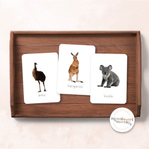 AUSTRALIAN ANIMALS Flash Cards Montessori Inspired Learning Resources ...