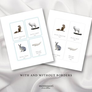 Arctic Animals Flash Cards: Montessori Homeschool Printable (digital ...