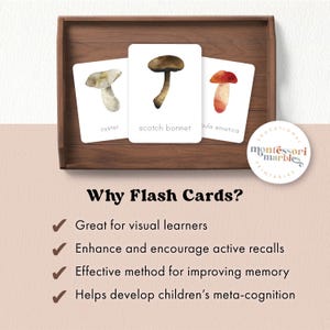 MUSHROOM Flash Cards | Montessori Inspired Fall Autumn Vocabulary ...