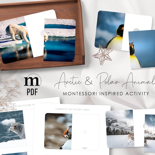 POLAR ANIMALS Montessori Picture Matching Activity Toddlers - Etsy