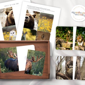 WOODLAND ANIMALS Montessori Picture Matching Activity, Toddlers ...