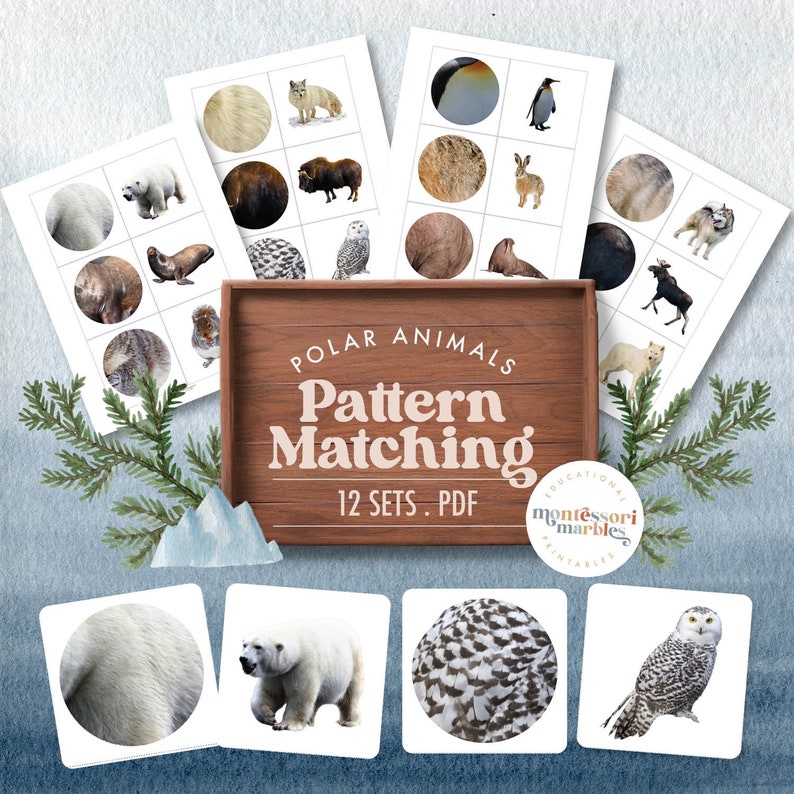 Polar Animals Pattern Matching Game: Montessori Visual Skills (digital ...