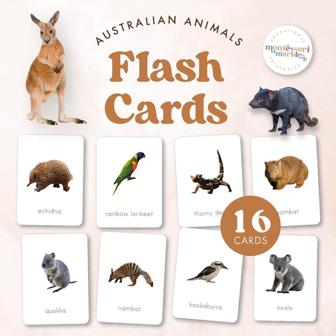 AUSTRALIAN ANIMALS Flash Cards | Montessori Inspired Learning Resources ...