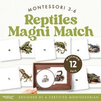 Montessori Classified Cards/ Nomenclature Phonetic Animals/ Printable ...