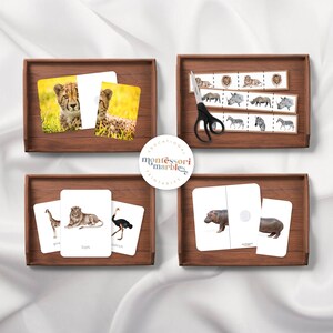 SAFARI ANIMALS Mini Bundle | 4 Sensory and Fine Motor Activities for ...
