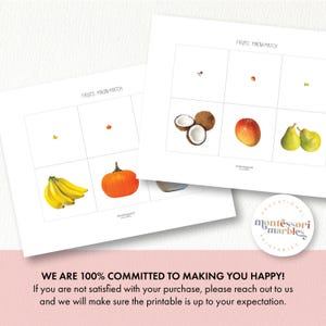 Fruits Magnifying Matching Game: Montessori Learning (digital Download ...