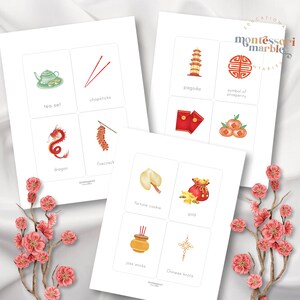 LUNAR NEW YEAR Montessori Flash Cards | Asian Studies | Learning About ...