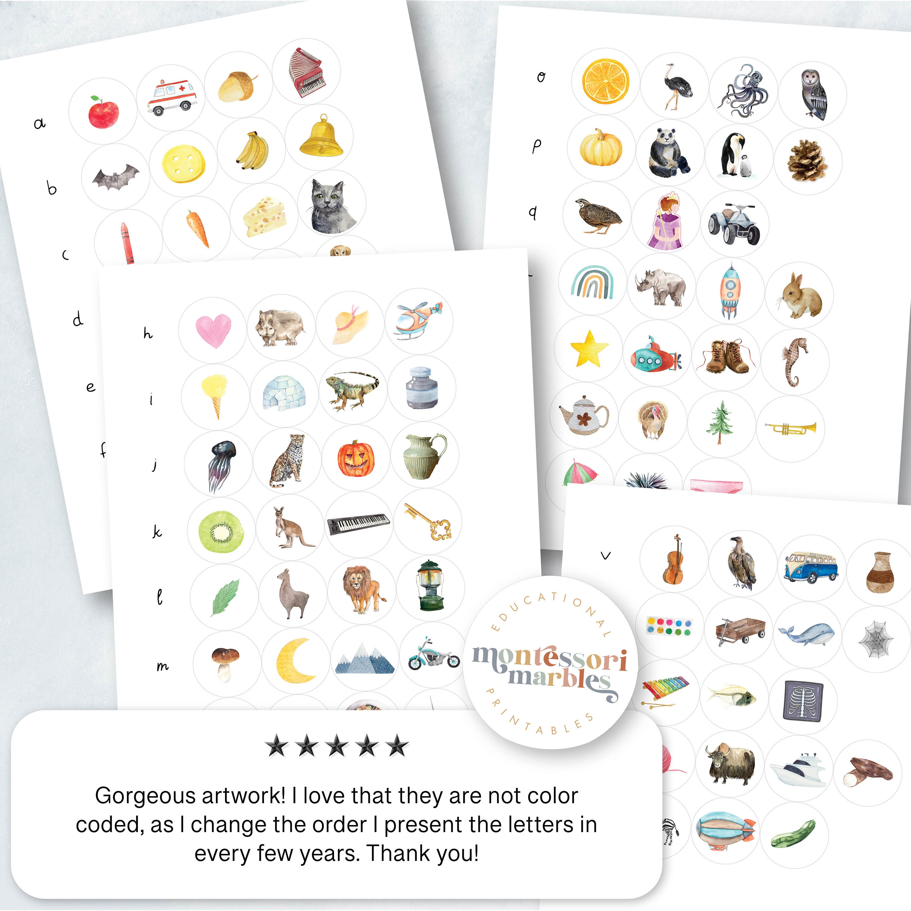Beginning Sounds Sorting Cards | Montessori Language | Early Literacy ...