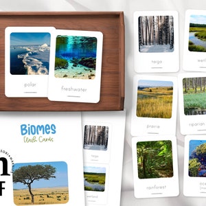 BIOMES Flash Cards Montessori Inspired Cards Social Studies Geography ...