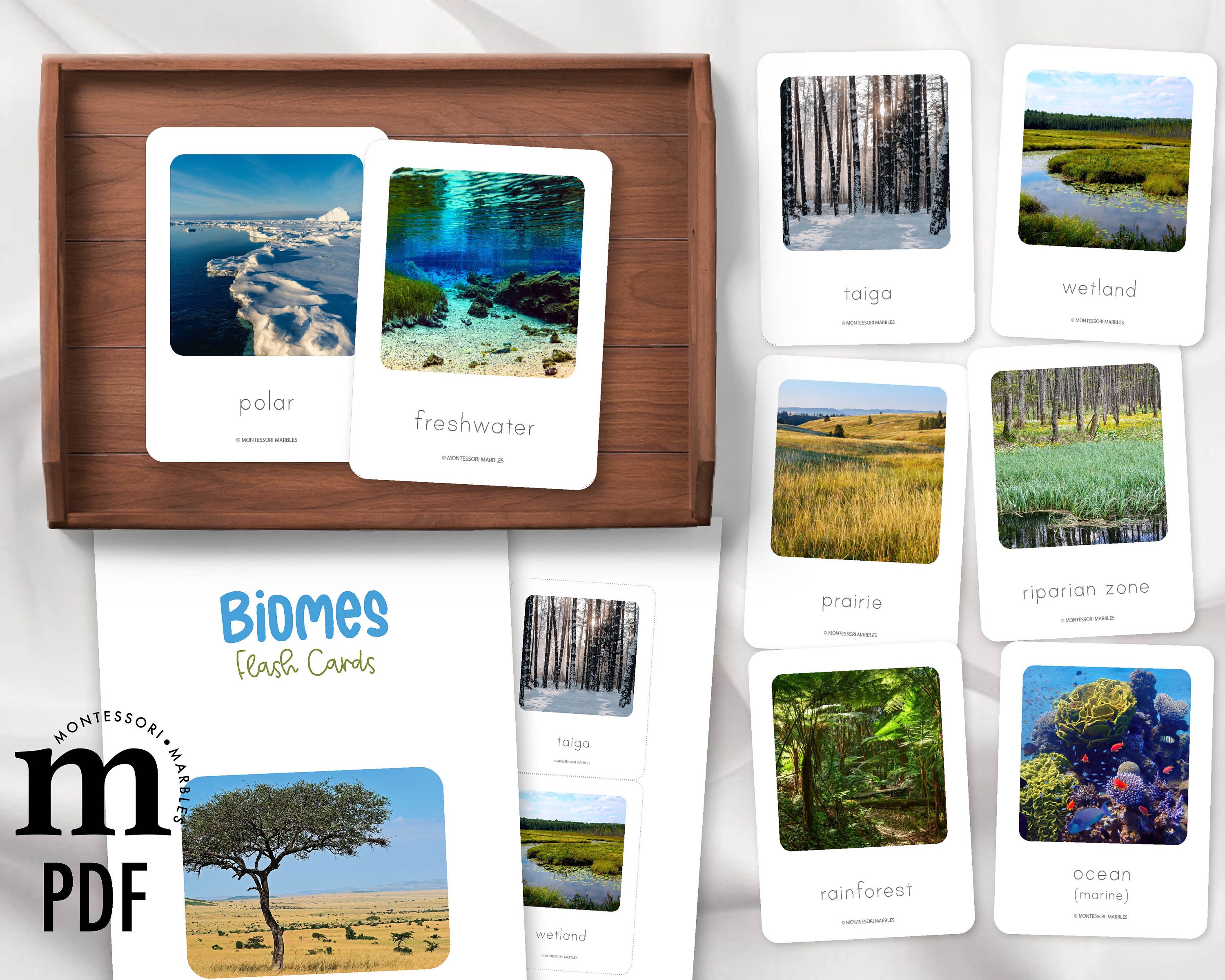BIOMES Flash Cards Montessori Inspired Cards Social Studies Geography ...